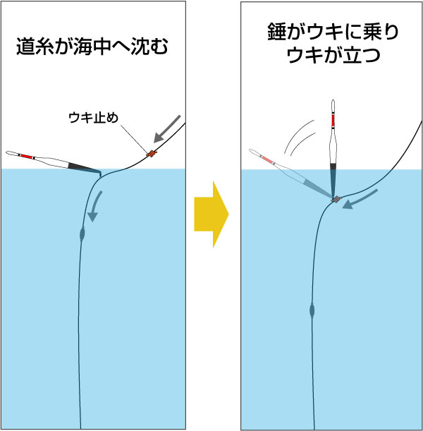 ウキ釣りの仕組みを解説！自分で作る半誘導仕掛け – つり部 | 初心者におすすめの釣り講座